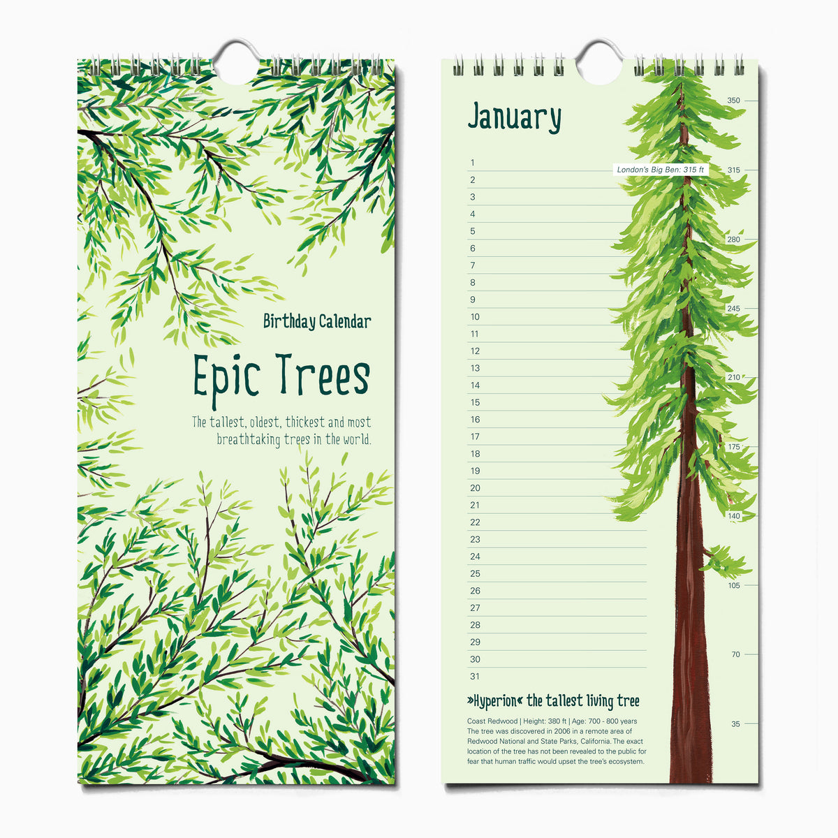 Epic Trees Calendar - Birthday Calendar – The Paperhood